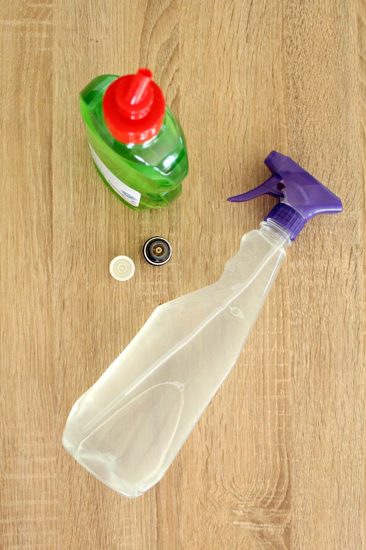 How to Make a DIY Spider Repellent at Home - Easy Peasy Creative Ideas
