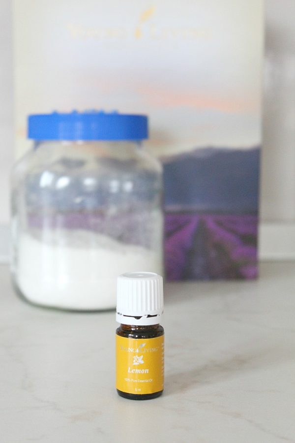 DIY Natural Flea Repellent Powder For Home - Easy Peasy Creative Ideas