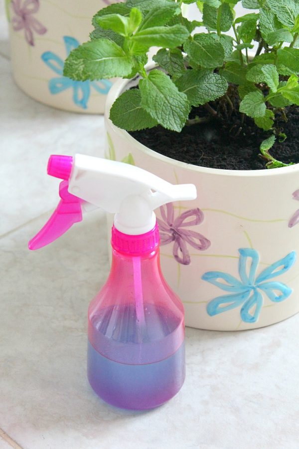 Natural Window Cleaner tutorial