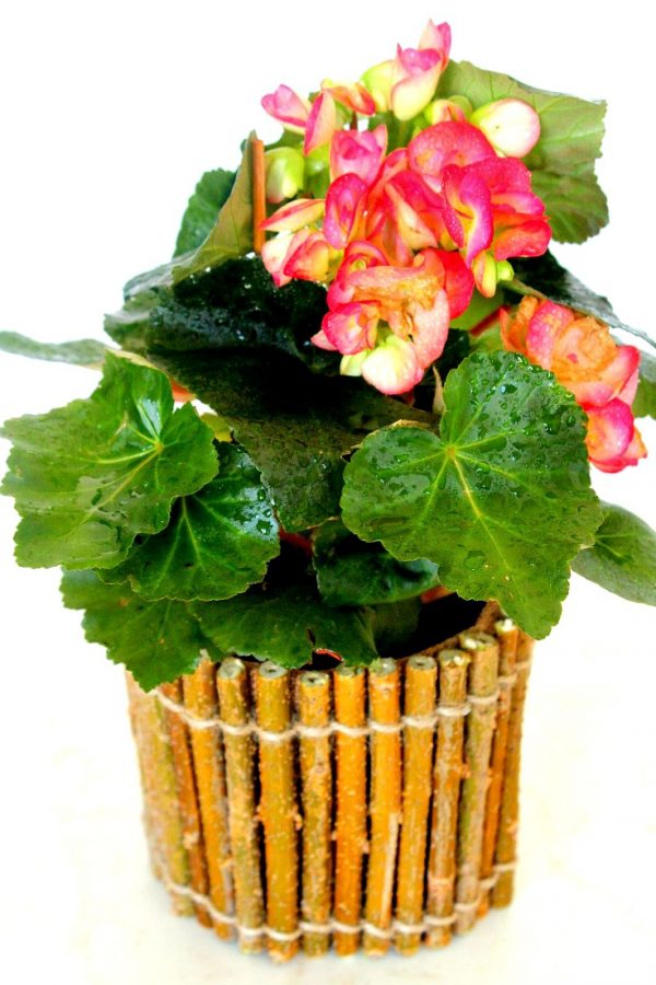 DIY Rustic Flower Pot With Twigs - Easy Peasy Creative Ideas