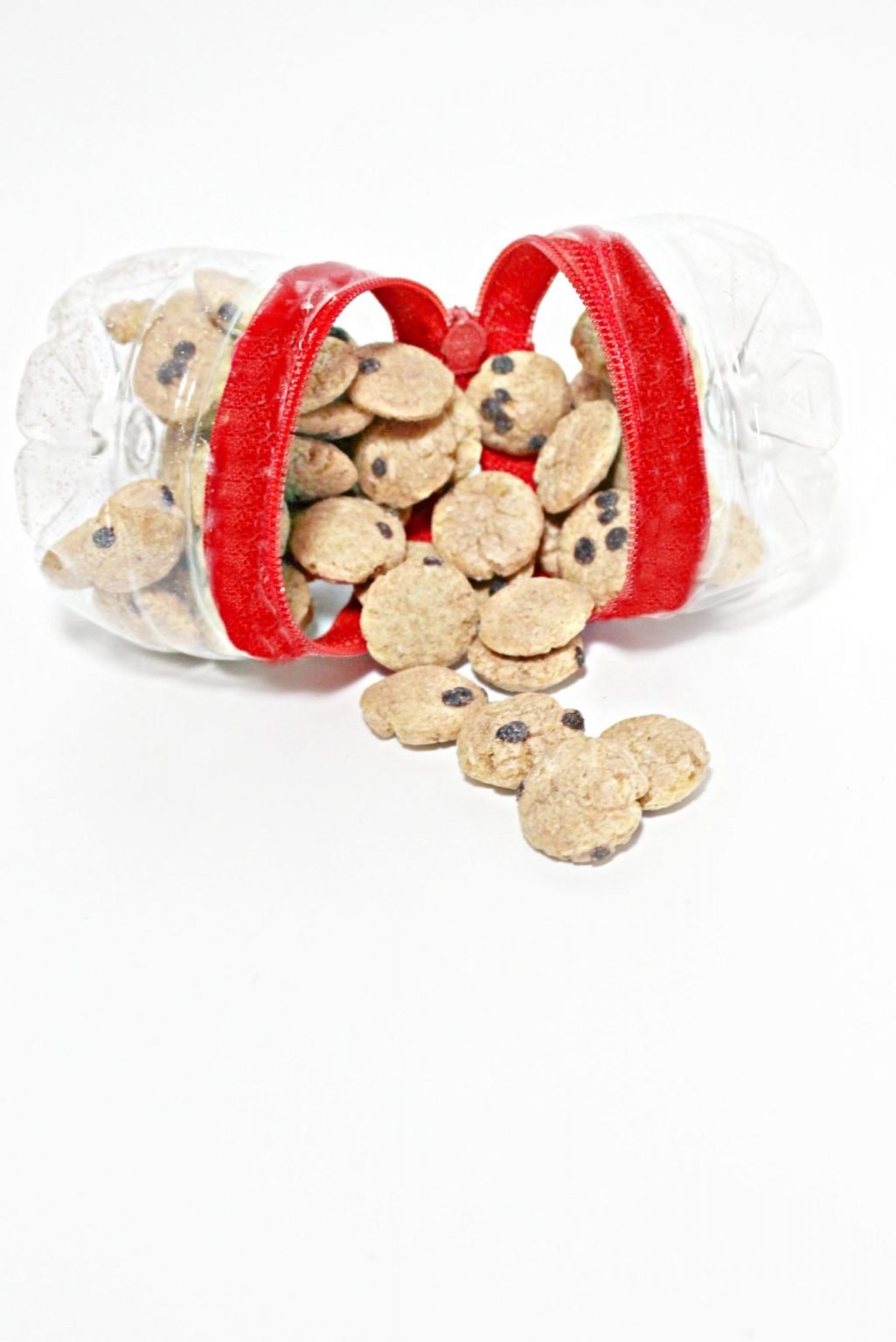 DIY Snack Box With Zipper Made From Recycled Plastic Bottles