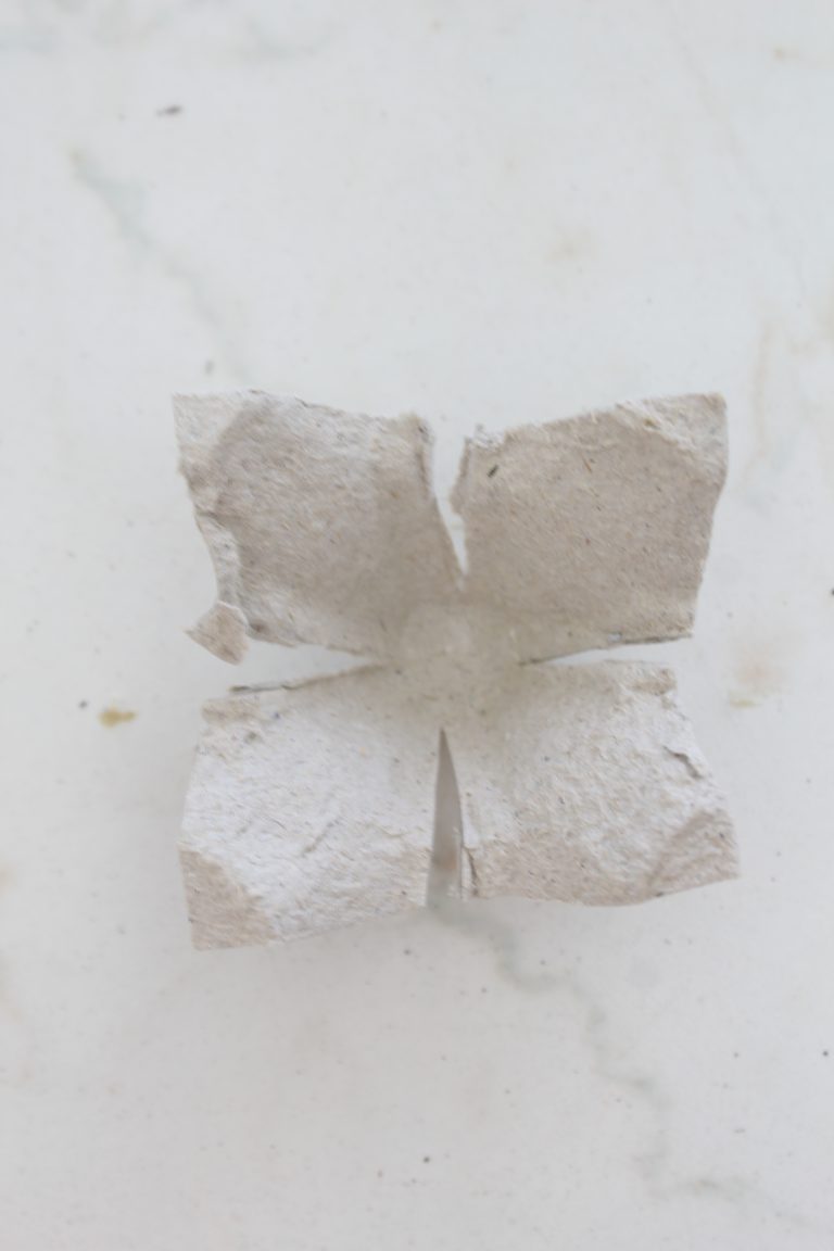 DIY Cotton Branches Farmhouse Décor - Easy Peasy Creative Ideas