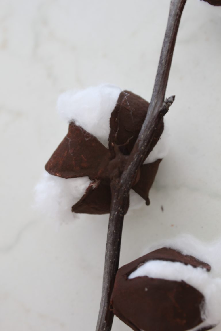 DIY Cotton Branches Farmhouse Décor - Easy Peasy Creative Ideas