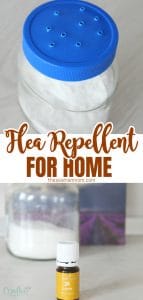 Flea Repellent For Home DIY - Easy Peasy Creative Ideas