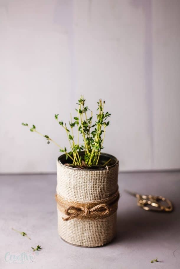 DIY Herb Pot From Recyled Tin Can | Easy Peasy Creative Ideas
