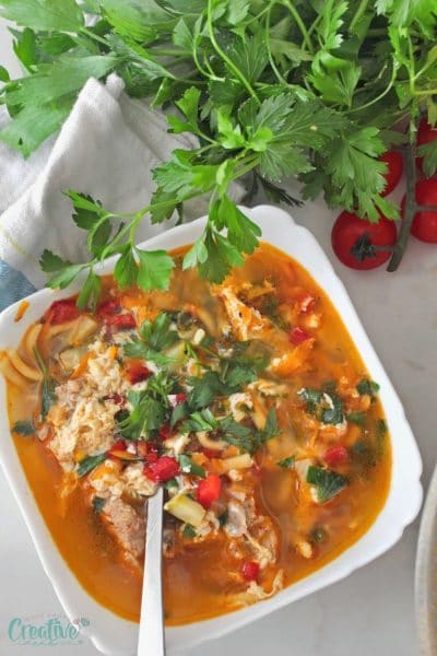 Savory Pork Rib Soup With Egg Noodles - Easy Peasy Creative Ideas