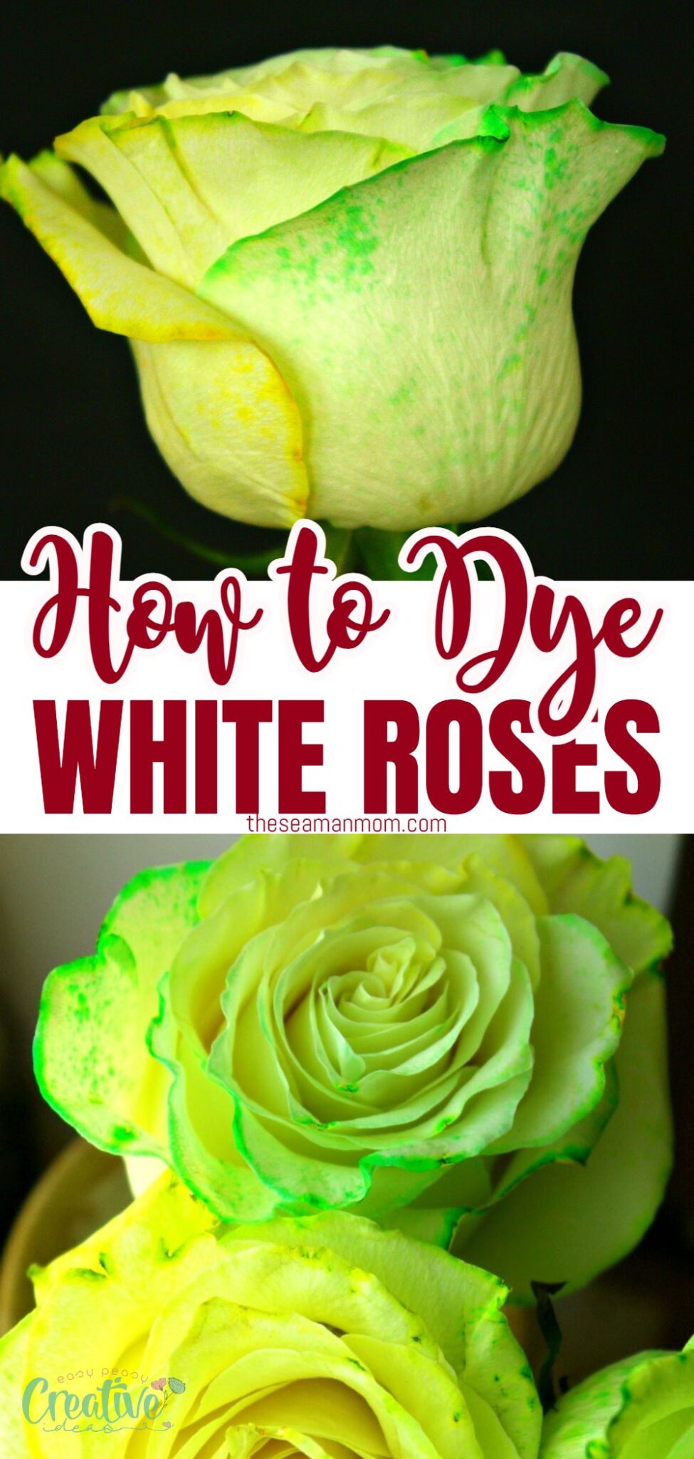How To Dye Roses With Food Coloring - Easy Peasy Creative Ideas